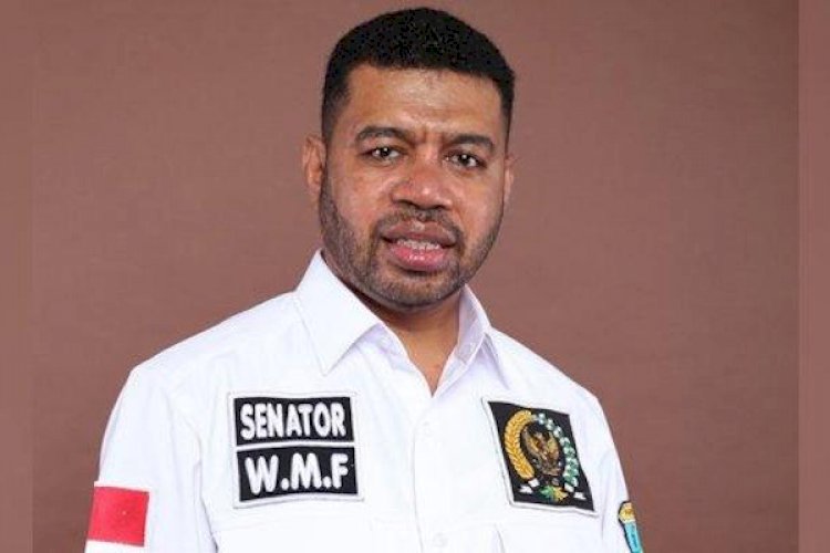 Filep Wamafma Berharap Pemerintah Mampu Deteksi Dini Gangguan Keamanan ...